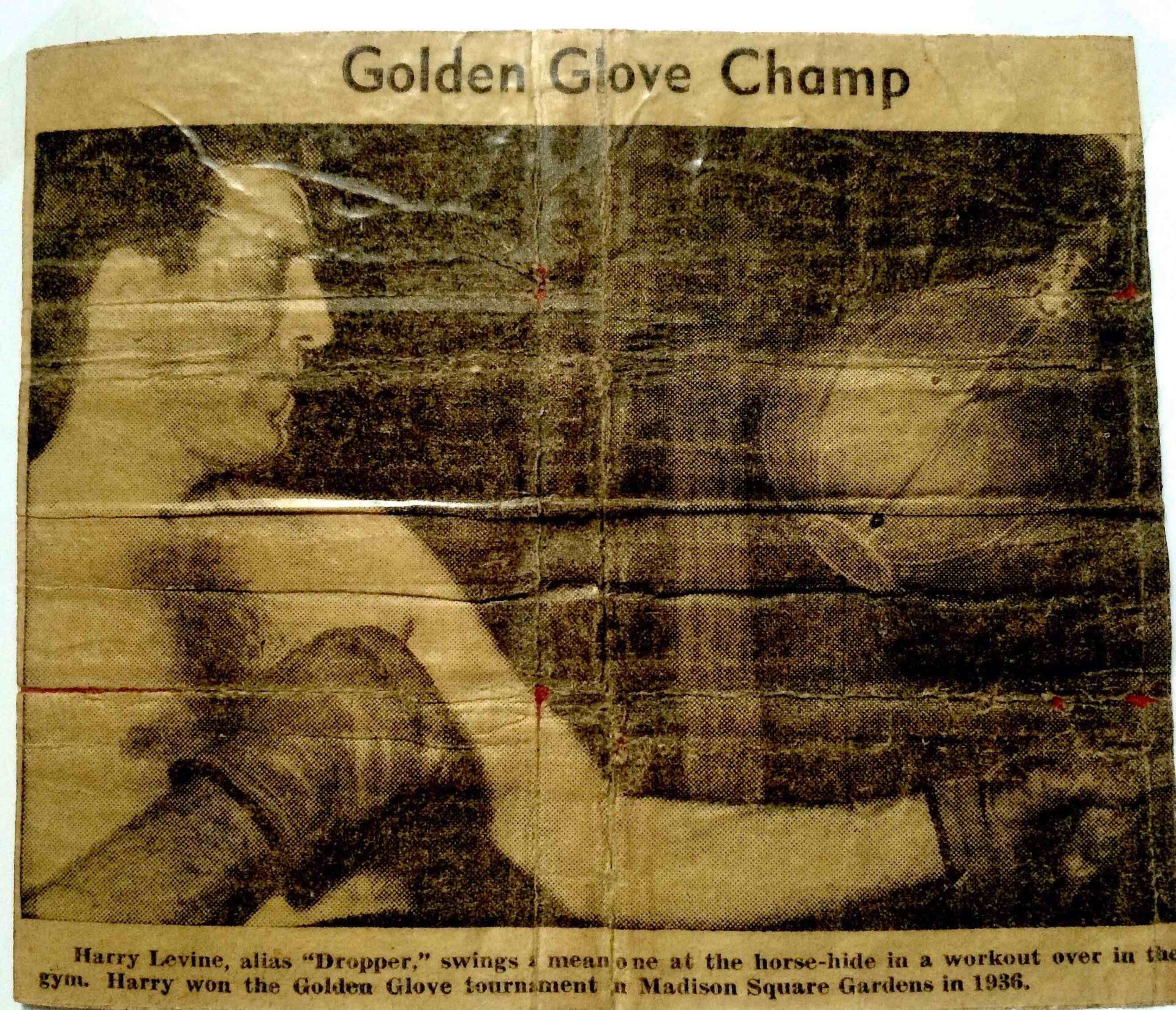 Tiburon Author Writes about Nazi-fighting Boxers in 1930s America