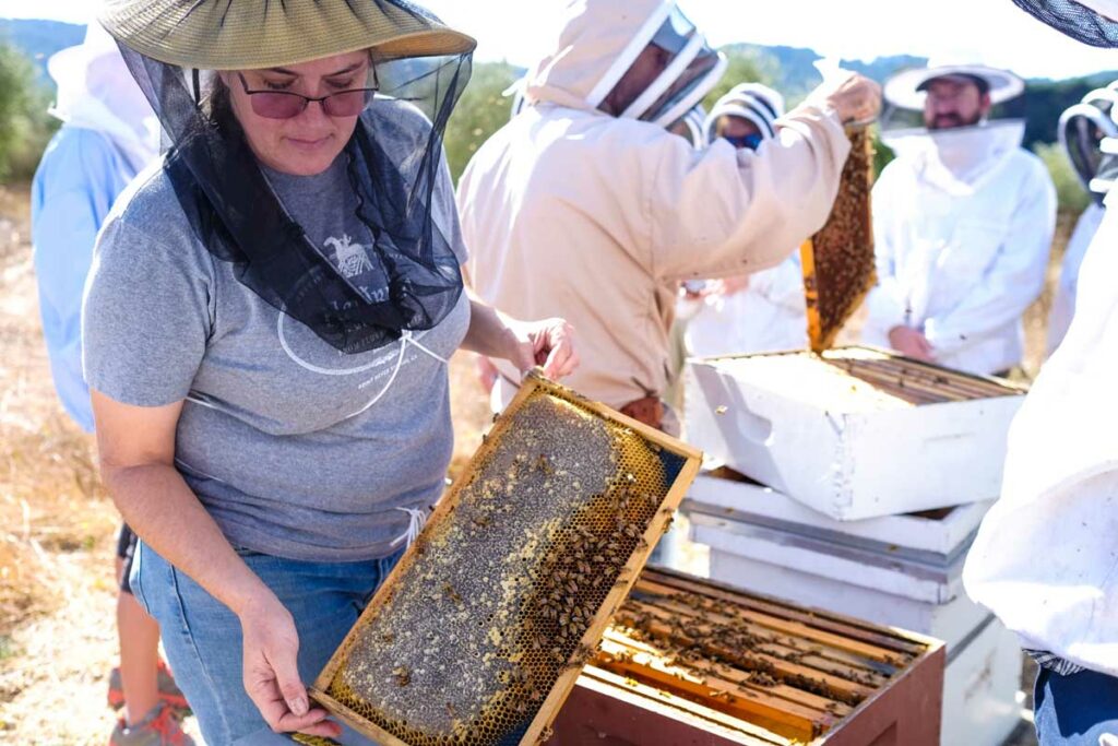 Need for Mead: Point Reyes Station’s Heidrun Meadery | Pacific Sun