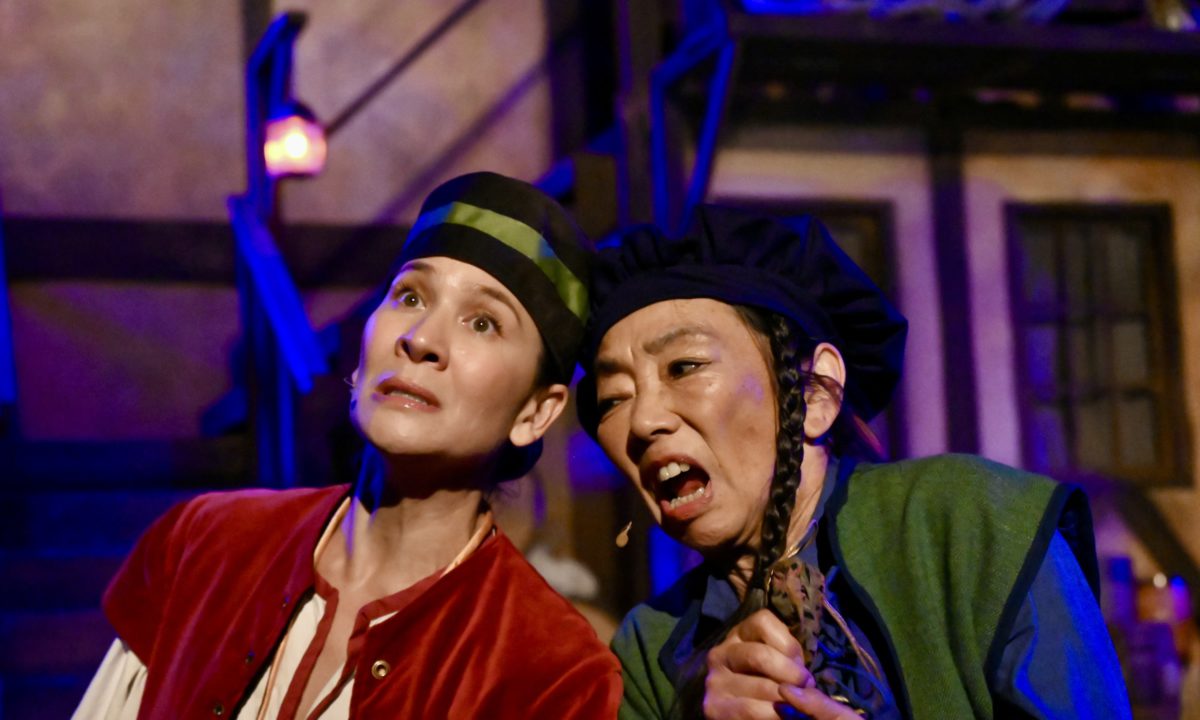 Marin Shakes ‘Comedy of Errors’ in San Rafael | Pacific Sun