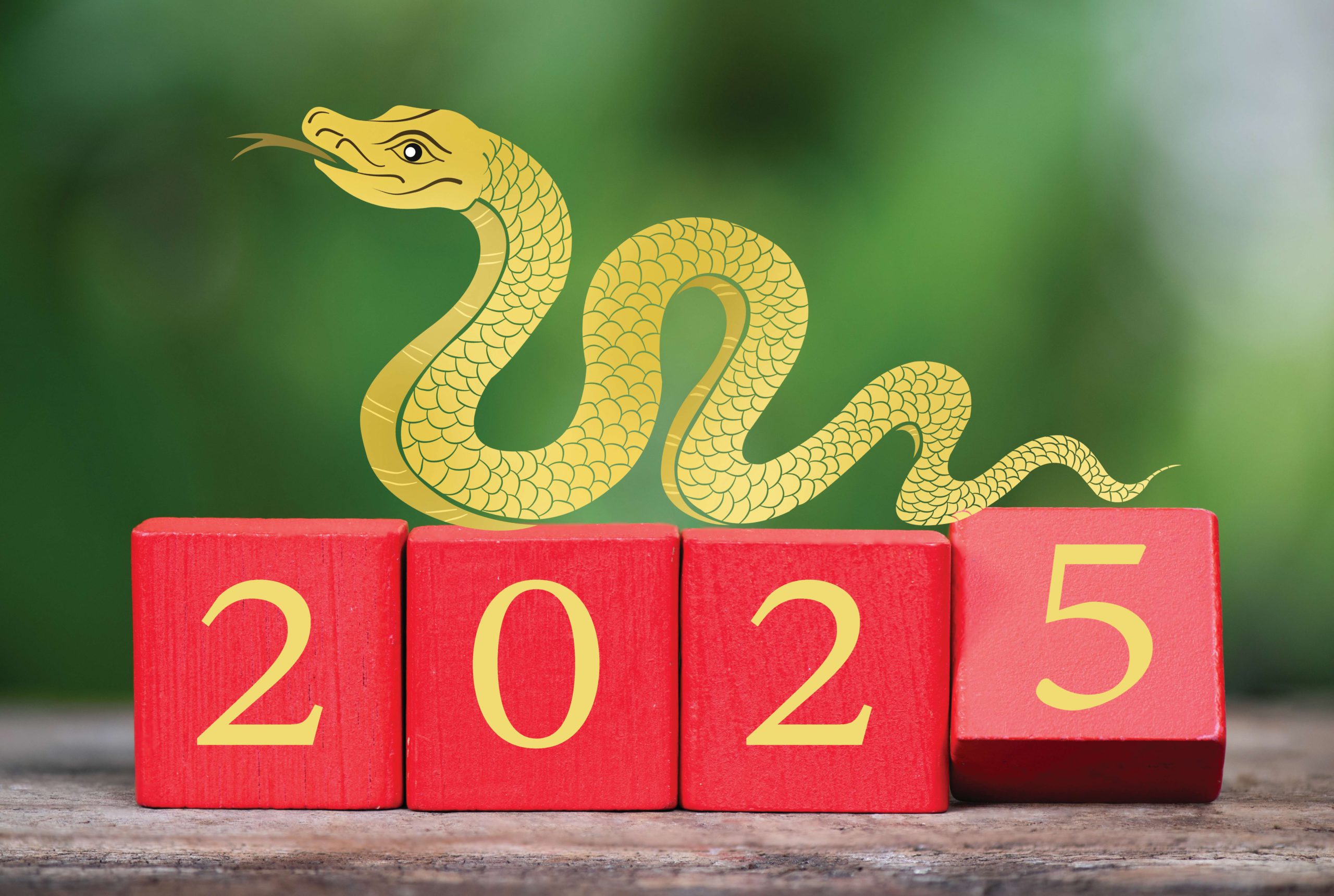 Winning Lunar New Year: Why the Year of the Snake Arrived Just in Time ...