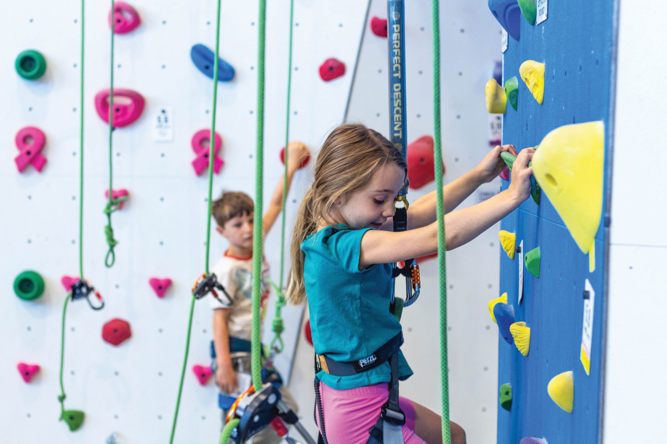 Camps for Kids, Where Climbing the Walls is a Good Thing | Pacific Sun