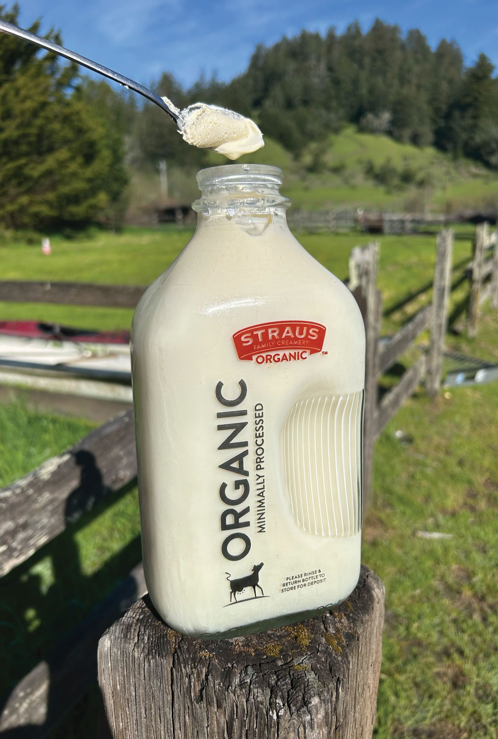Cream Tok: Straus milk & other social media trends in local food ...