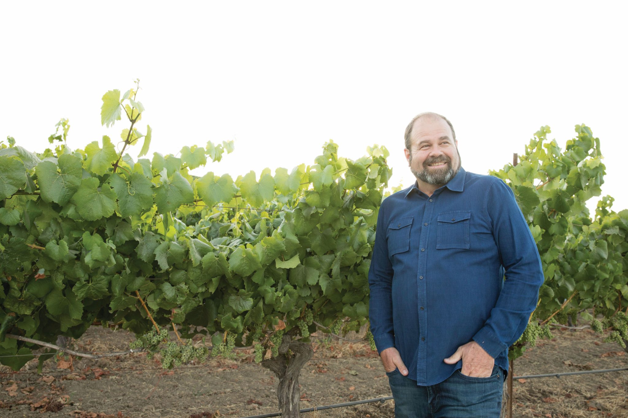 Indie Again, James Hall of Patz & Hall Winery | Pacific Sun