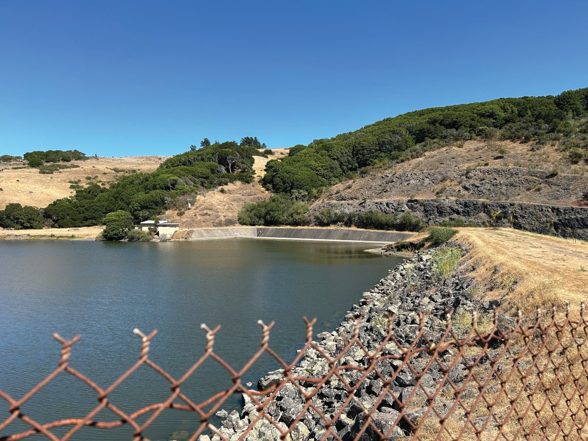 The Dammed: What happens if Nicasio Reservoir Expands? | Pacific Sun