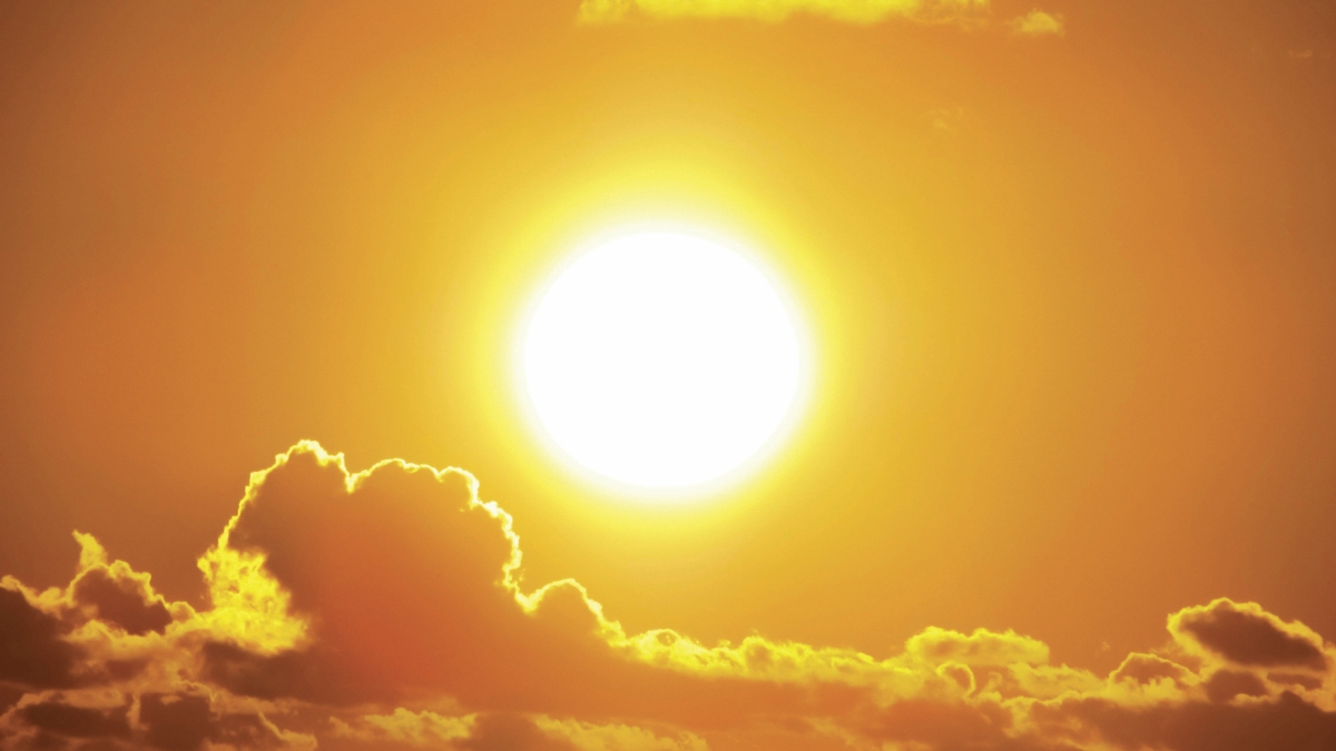 Still Shining, a Writer's Time in the ‘Sun’ | Pacific Sun